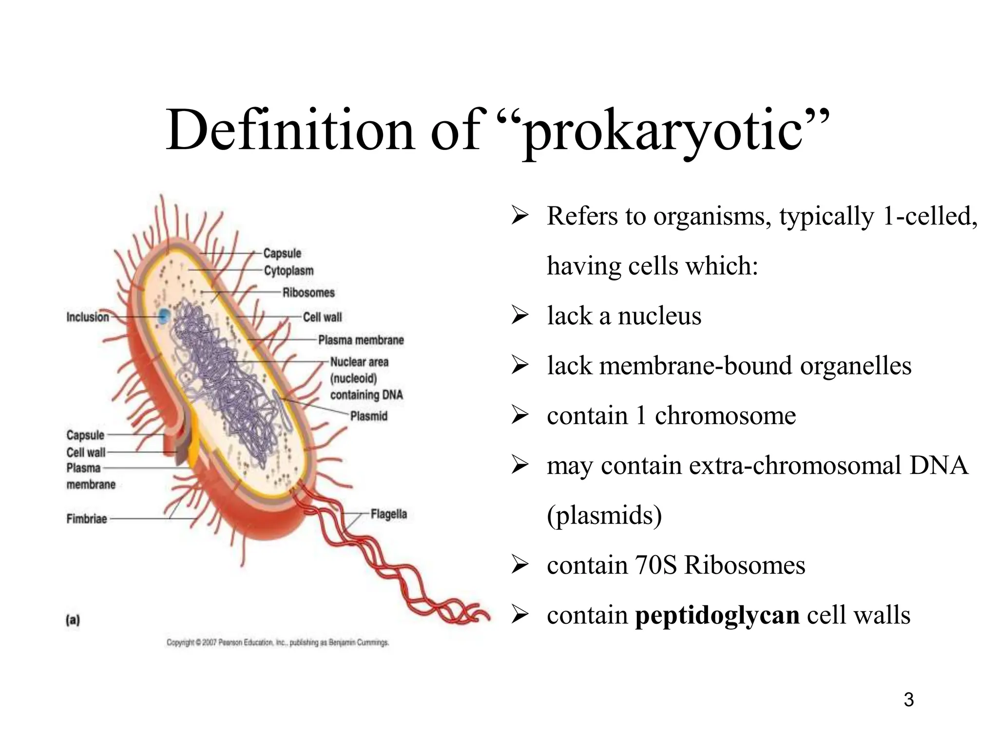 sturcture of bacteria lecture 3[1].pptx | Biological Sciences | Science