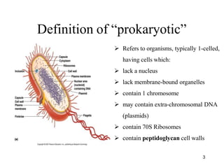sturcture of bacteria lecture 3[1].pptx