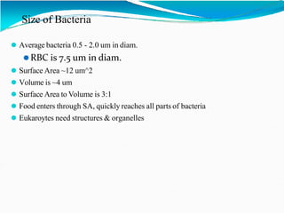 sturcture of bacteria lecture 3[1].pptx | Biological Sciences | Science