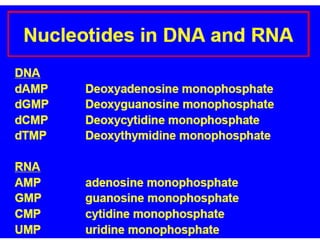 Sturcture of DNA | PPT