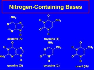 Sturcture of DNA | PPT