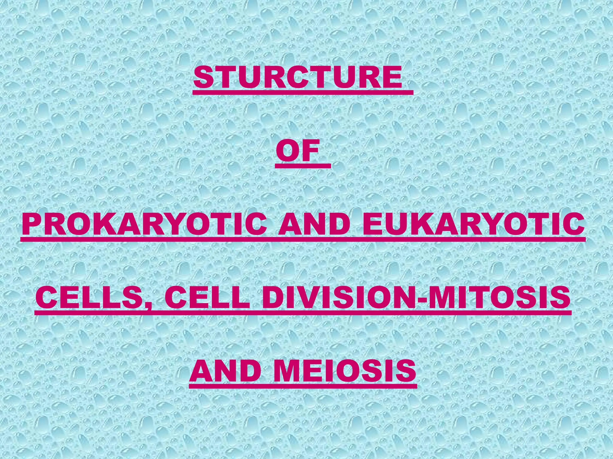 STURCTURE OF PROKARYOTIC AND EUKARYOTIC CELLS, CELL DIVISION-MITOSIS ...