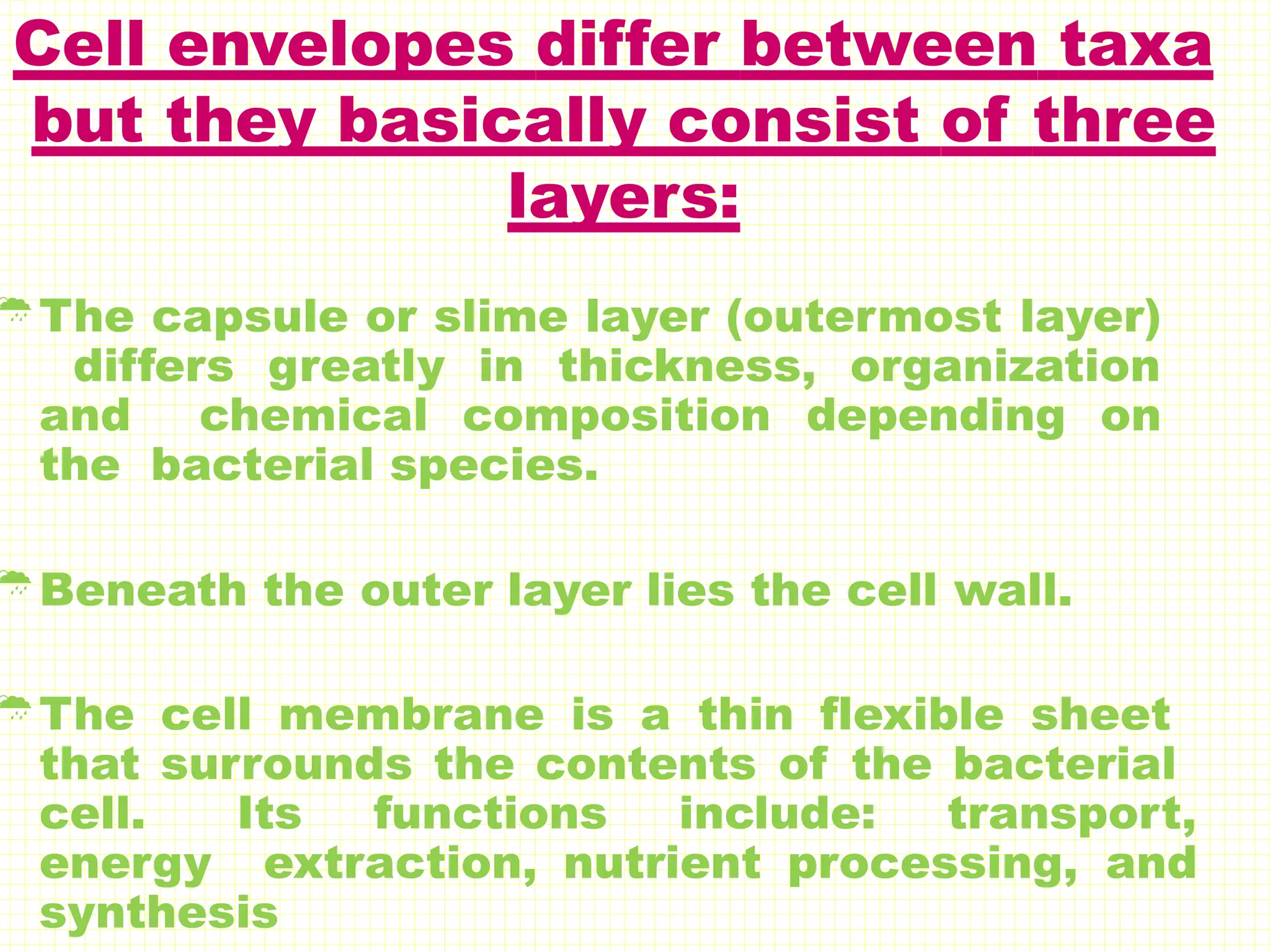 STURCTURE OF PROKARYOTIC AND EUKARYOTIC CELLS, CELL DIVISION-MITOSIS AND MEIOSIS.pptx