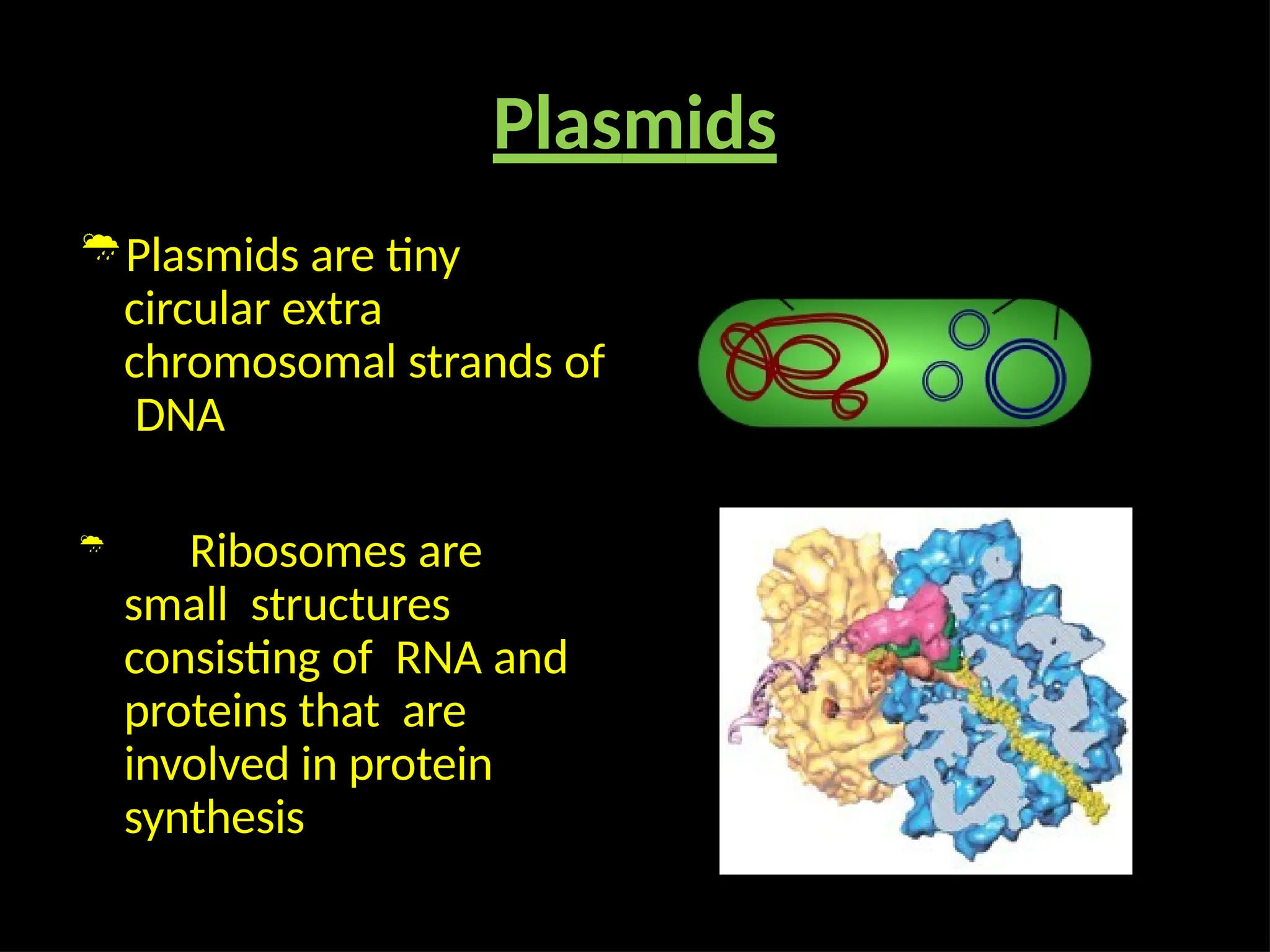 STURCTURE OF PROKARYOTIC AND EUKARYOTIC CELLS, CELL DIVISION-MITOSIS ...