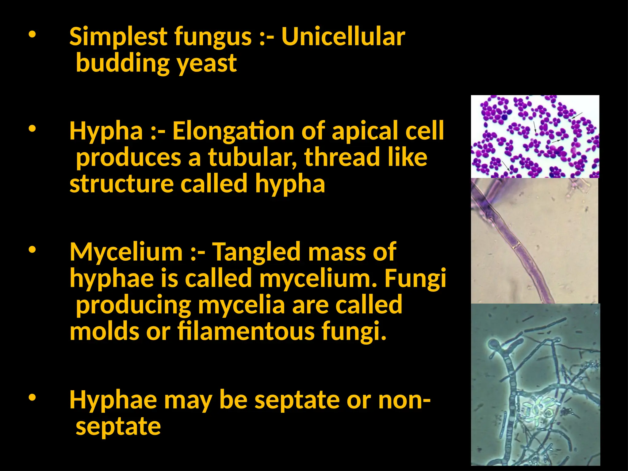 STURCTURE OF PROKARYOTIC AND EUKARYOTIC CELLS, CELL DIVISION-MITOSIS ...