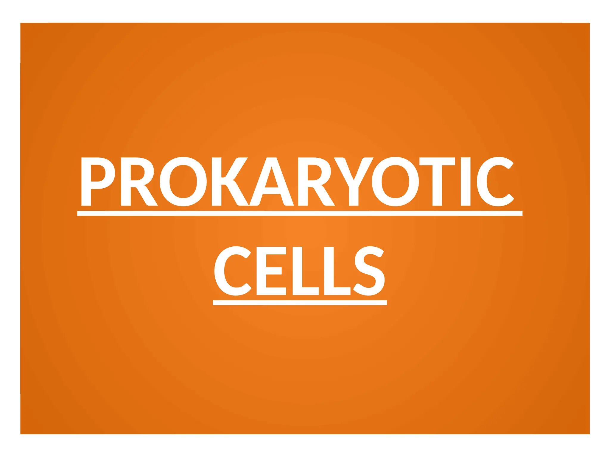 STURCTURE OF PROKARYOTIC AND EUKARYOTIC CELLS, CELL DIVISION-MITOSIS ...