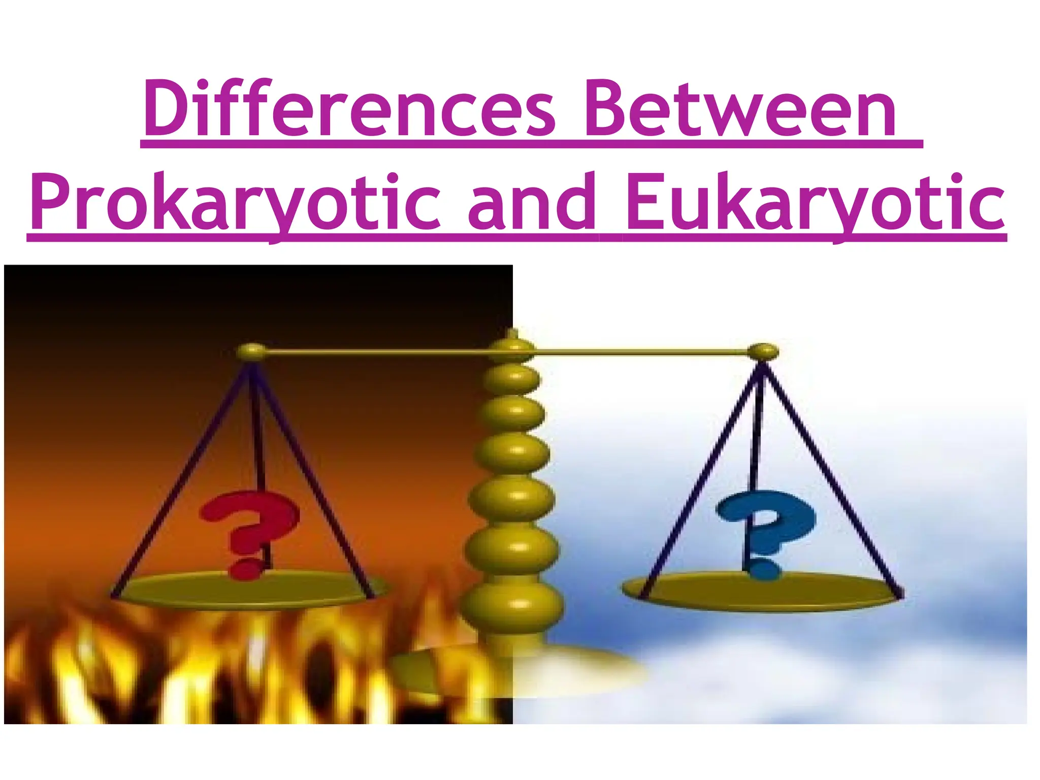 STURCTURE OF PROKARYOTIC AND EUKARYOTIC CELLS, CELL DIVISION-MITOSIS ...