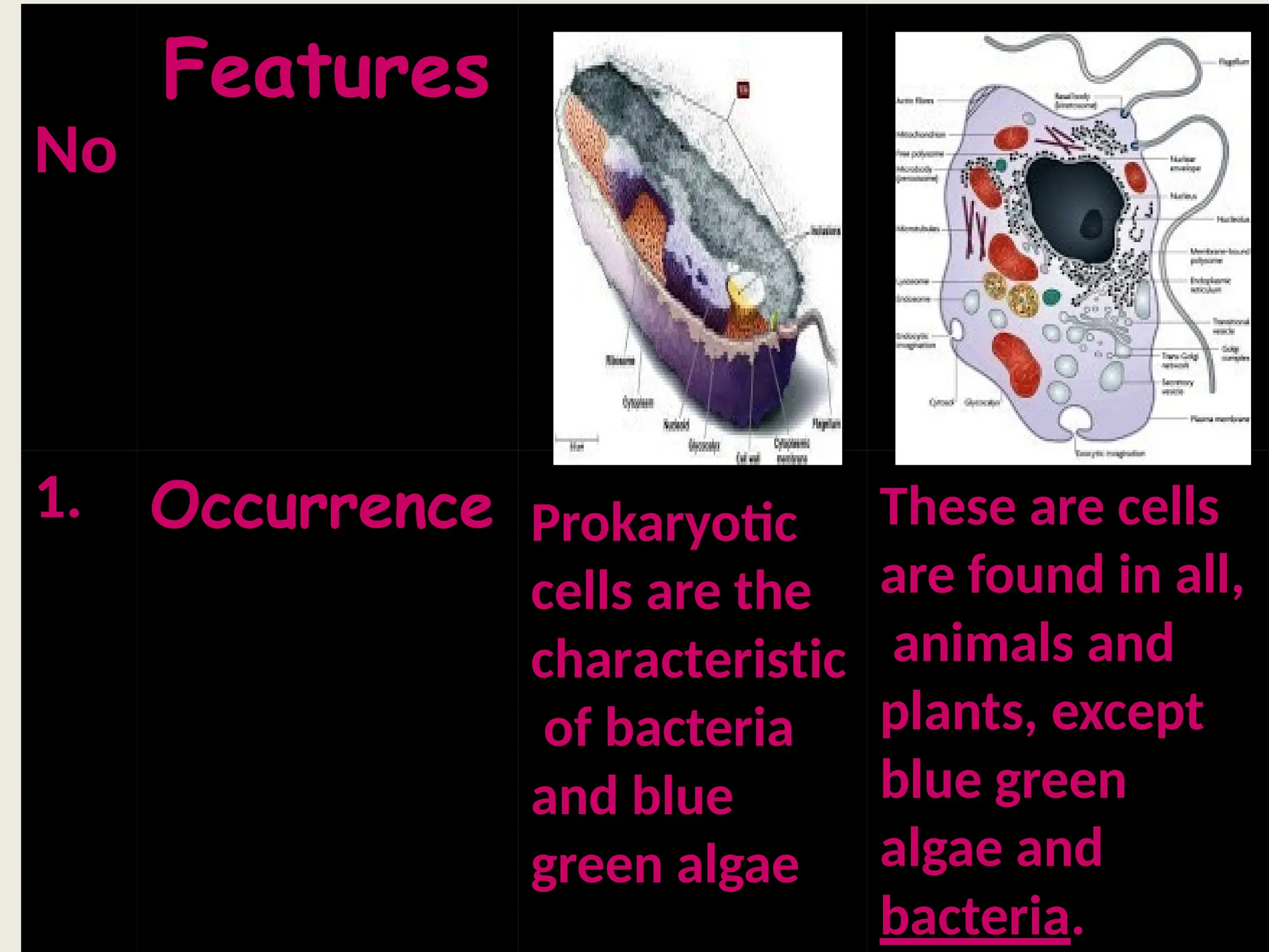 STURCTURE OF PROKARYOTIC AND EUKARYOTIC CELLS, CELL DIVISION-MITOSIS ...