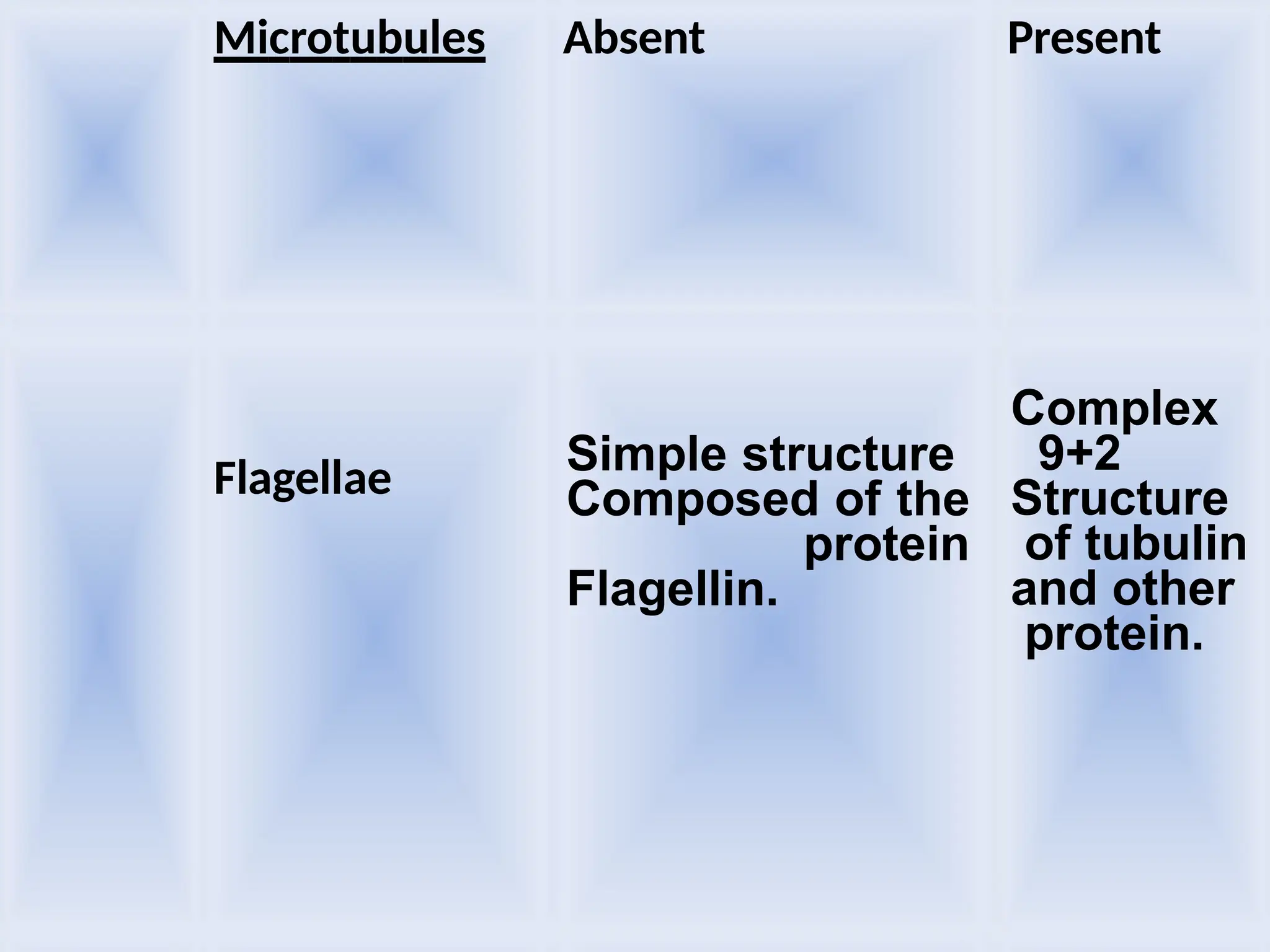 STURCTURE OF PROKARYOTIC AND EUKARYOTIC CELLS, CELL DIVISION-MITOSIS ...