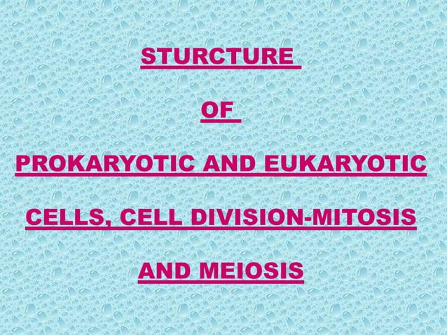 STURCTURE OF PROKARYOTIC AND EUKARYOTIC CELLS, CELL DIVISION-MITOSIS AND MEIOSIS.pptx