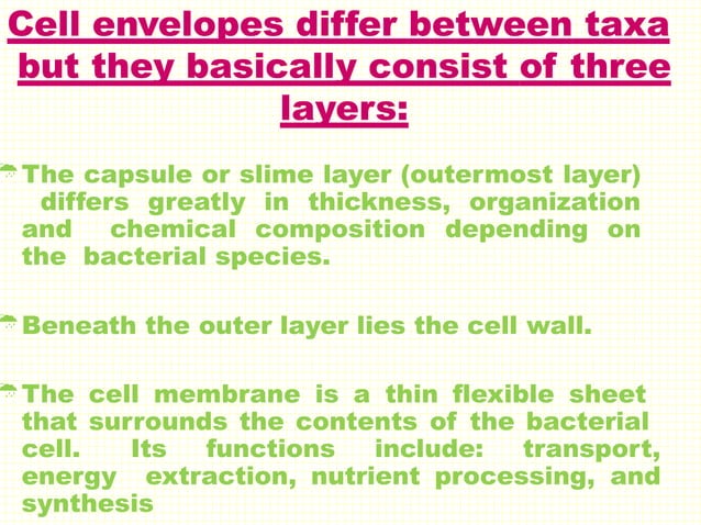 STURCTURE OF PROKARYOTIC AND EUKARYOTIC CELLS, CELL DIVISION-MITOSIS ...