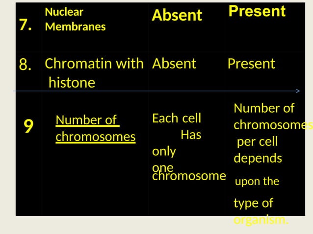 STURCTURE OF PROKARYOTIC AND EUKARYOTIC CELLS, CELL DIVISION-MITOSIS ...