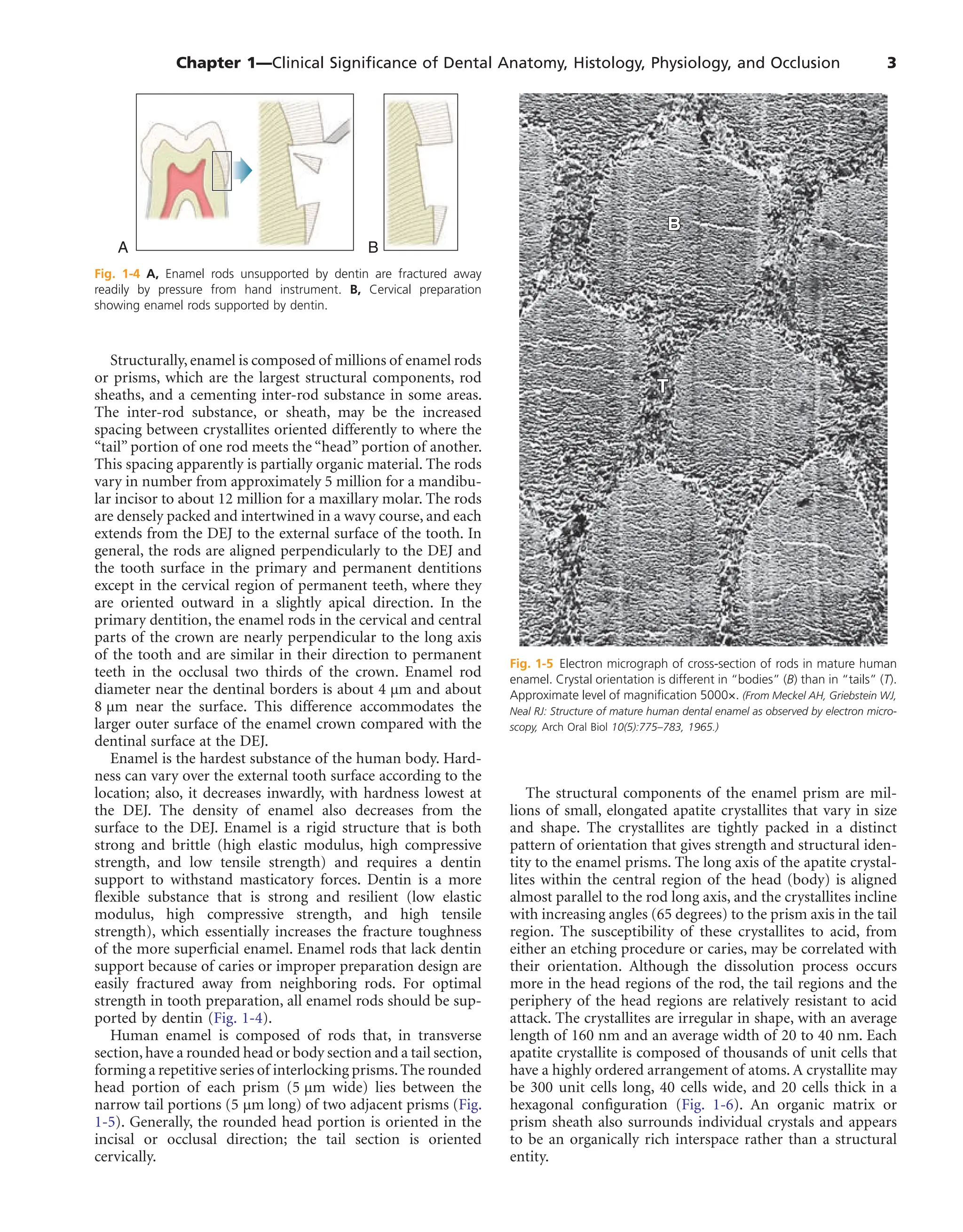Sturdevant Art and Science of Operative Dentistry.pdf