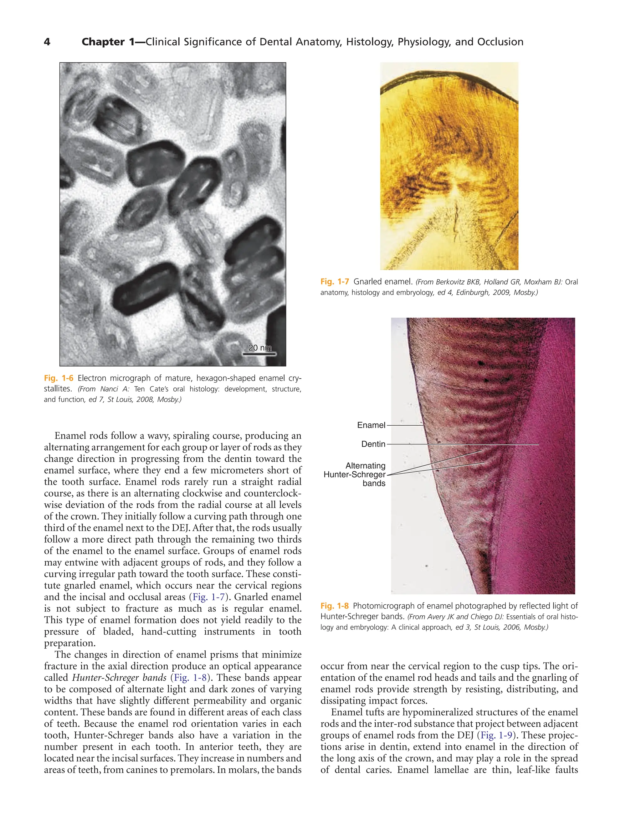 Sturdevant Art and Science of Operative Dentistry.pdf