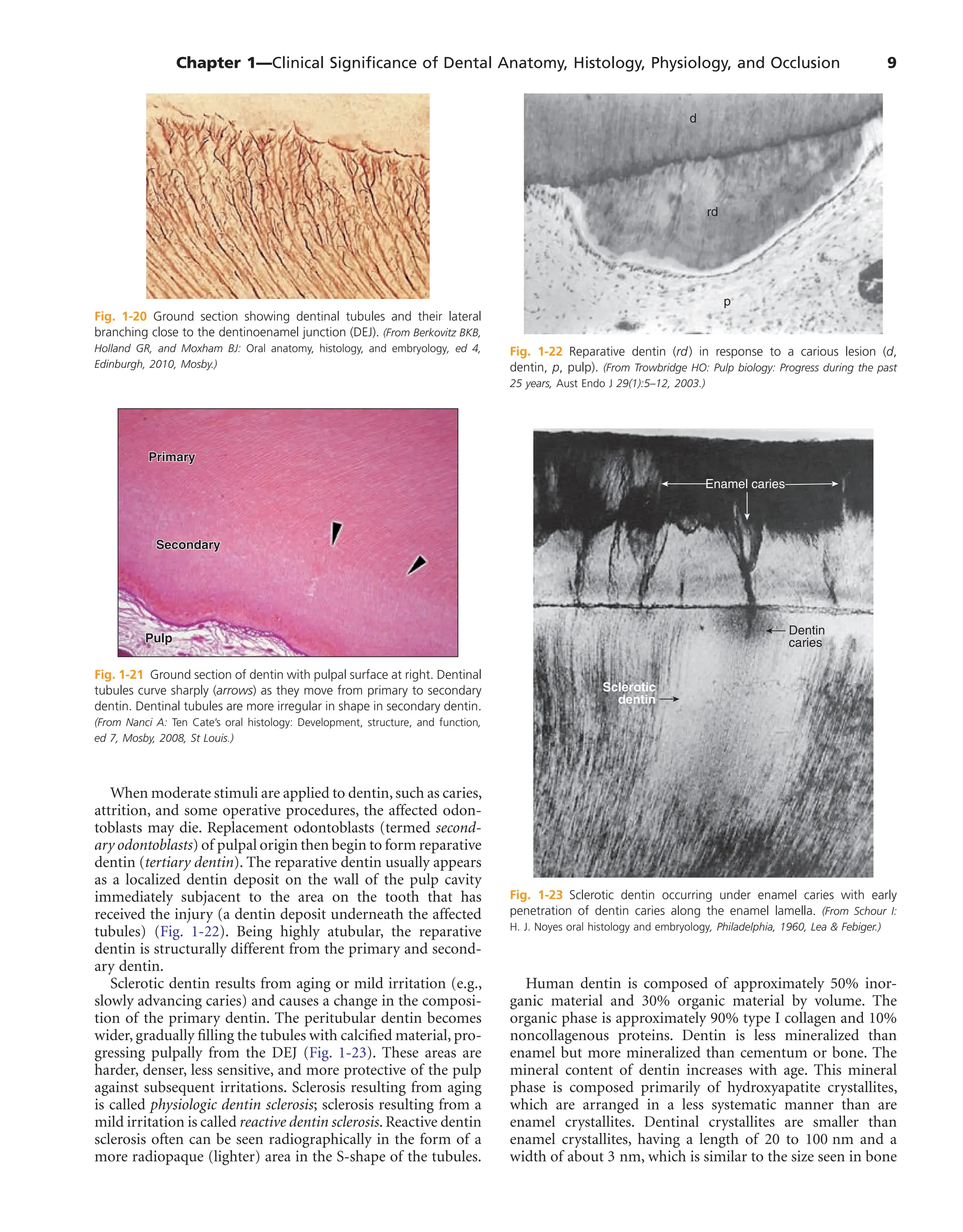Sturdevant Art and Science of Operative Dentistry.pdf