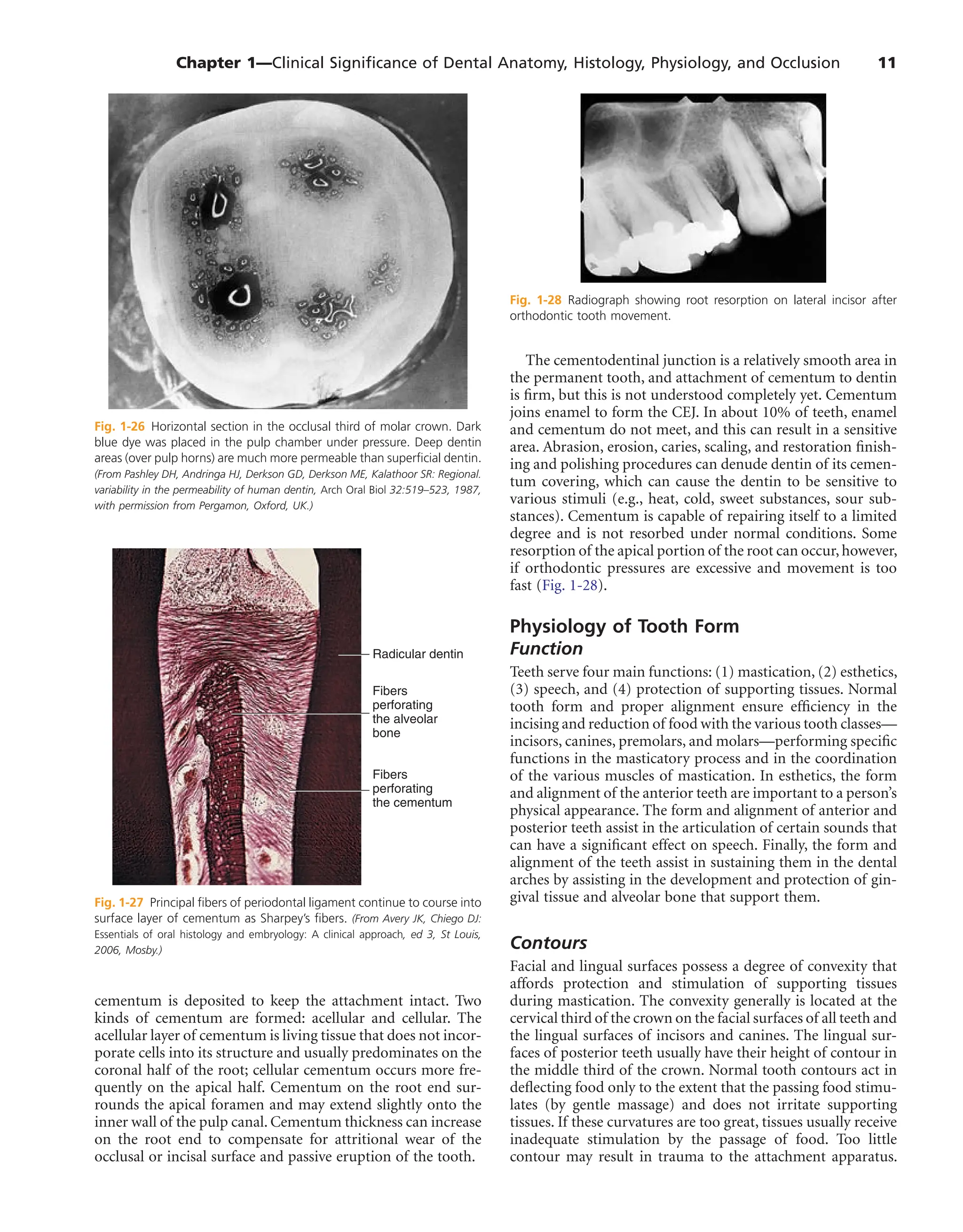 Sturdevant Art and Science of Operative Dentistry.pdf