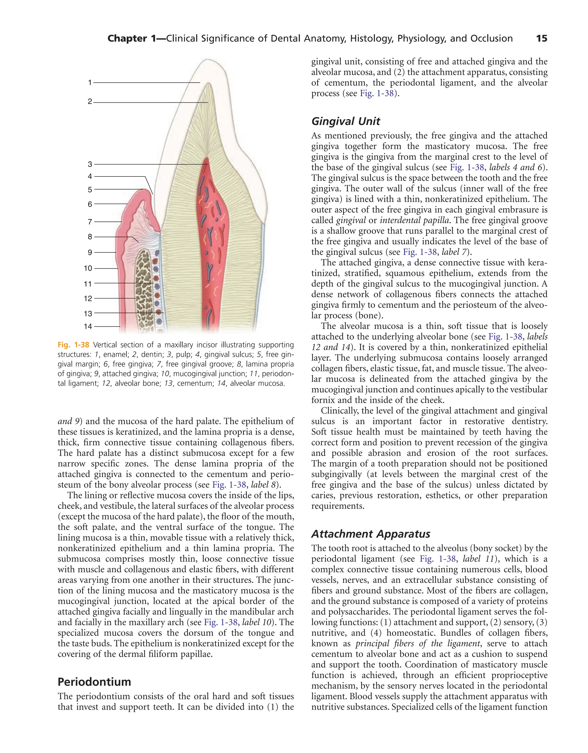 Sturdevant Art and Science of Operative Dentistry.pdf