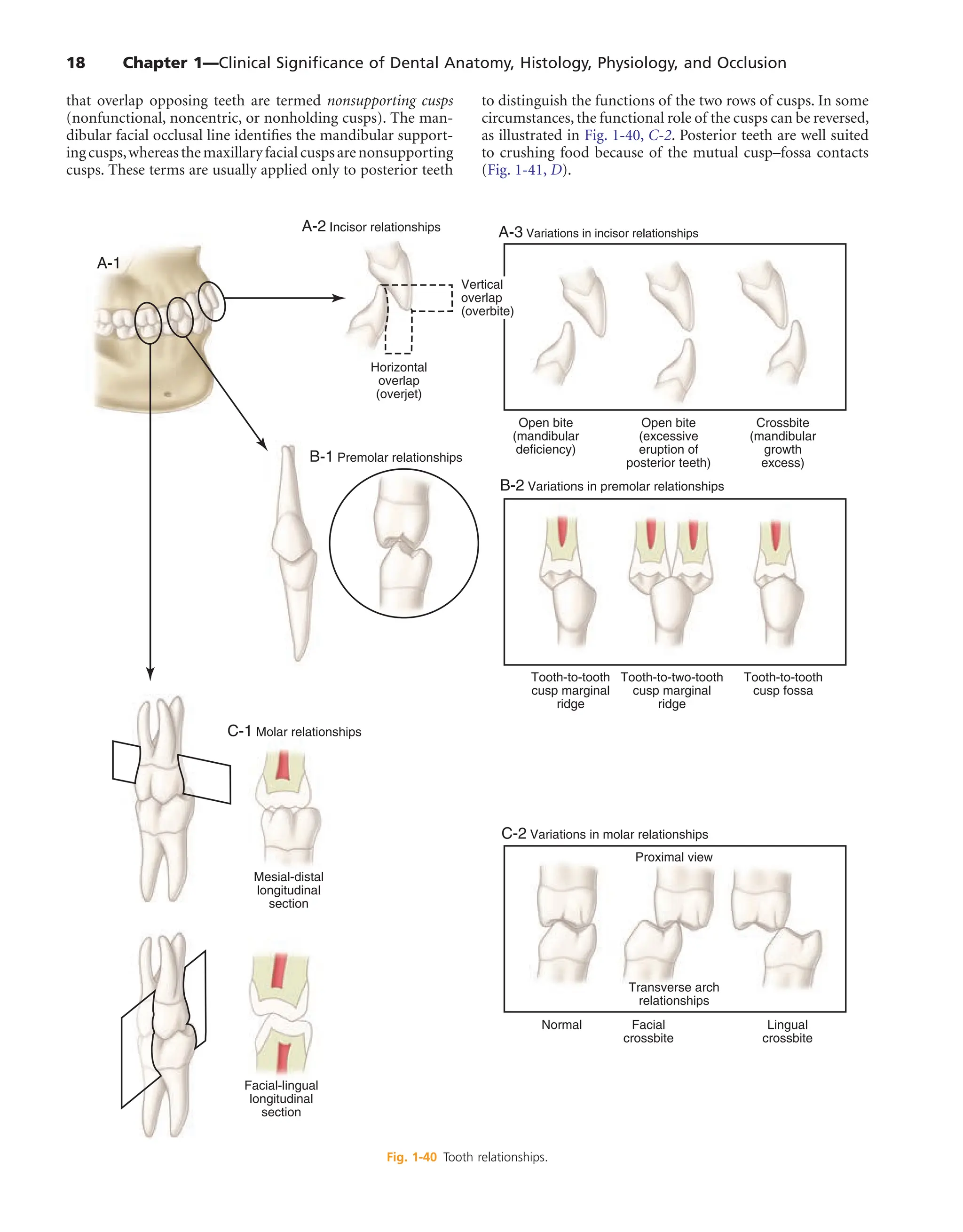 Sturdevant Art and Science of Operative Dentistry.pdf