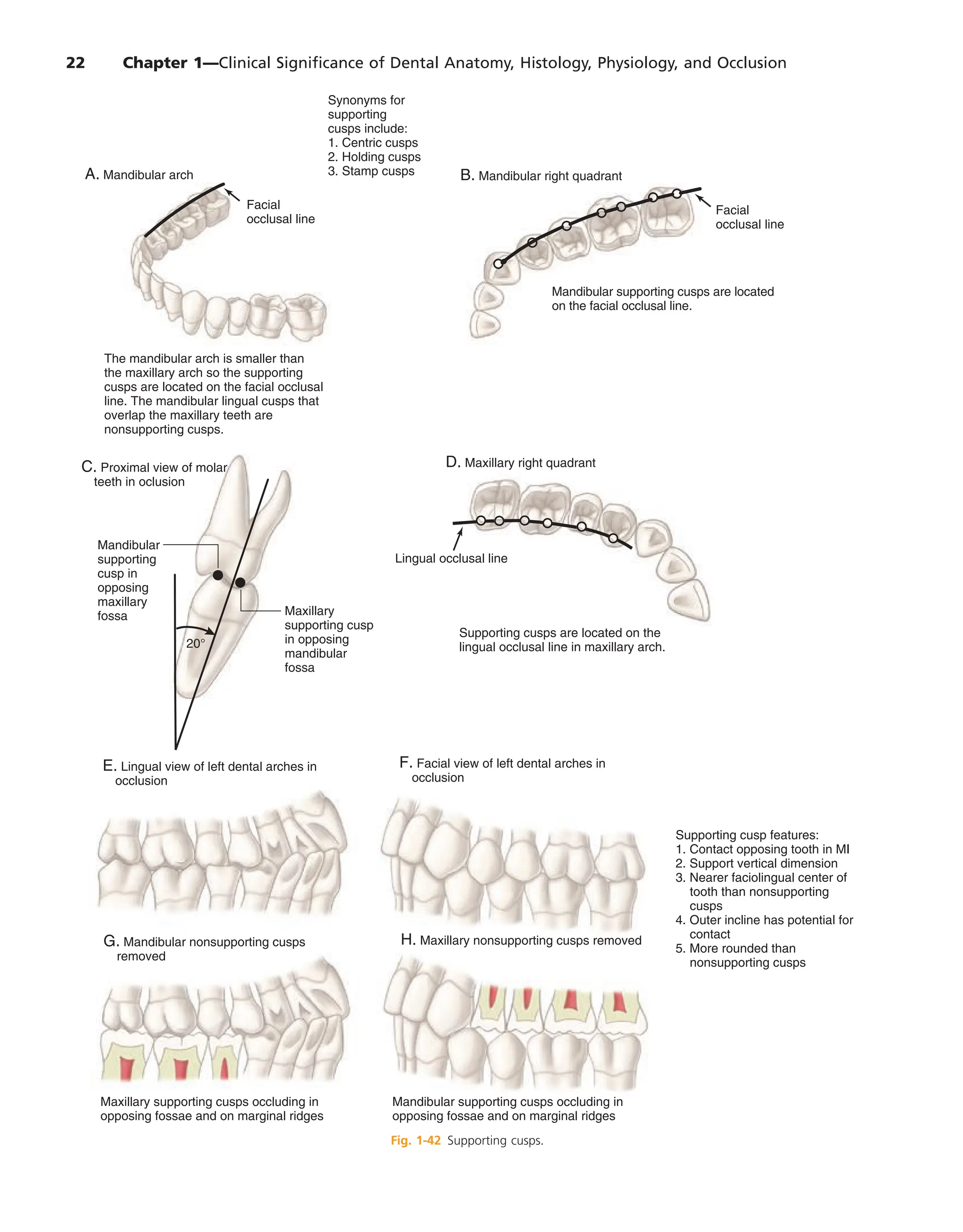 Sturdevant Art and Science of Operative Dentistry.pdf