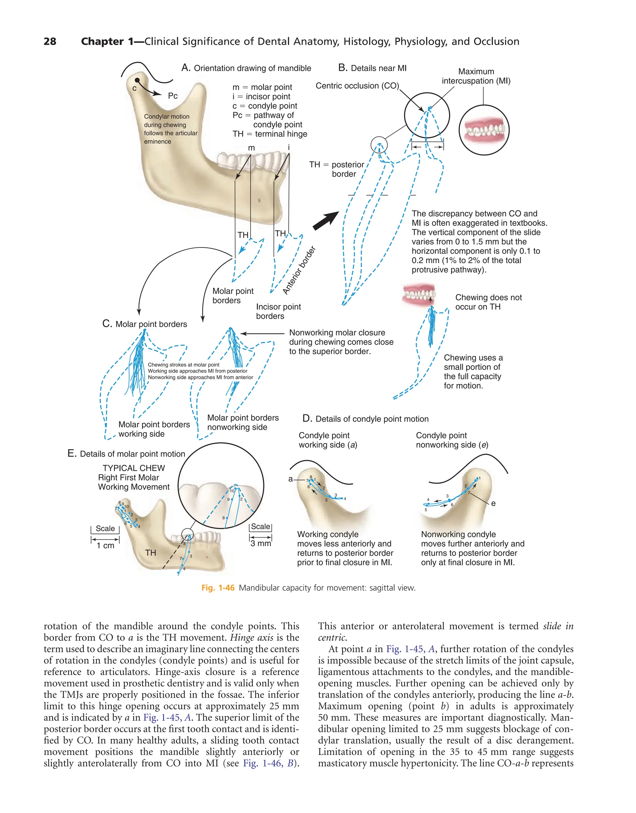 Sturdevant Art and Science of Operative Dentistry.pdf