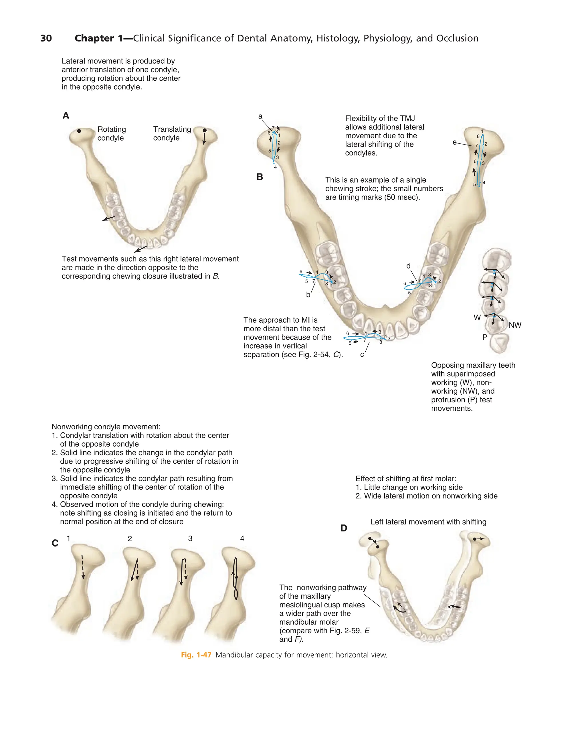 Sturdevant Art and Science of Operative Dentistry.pdf