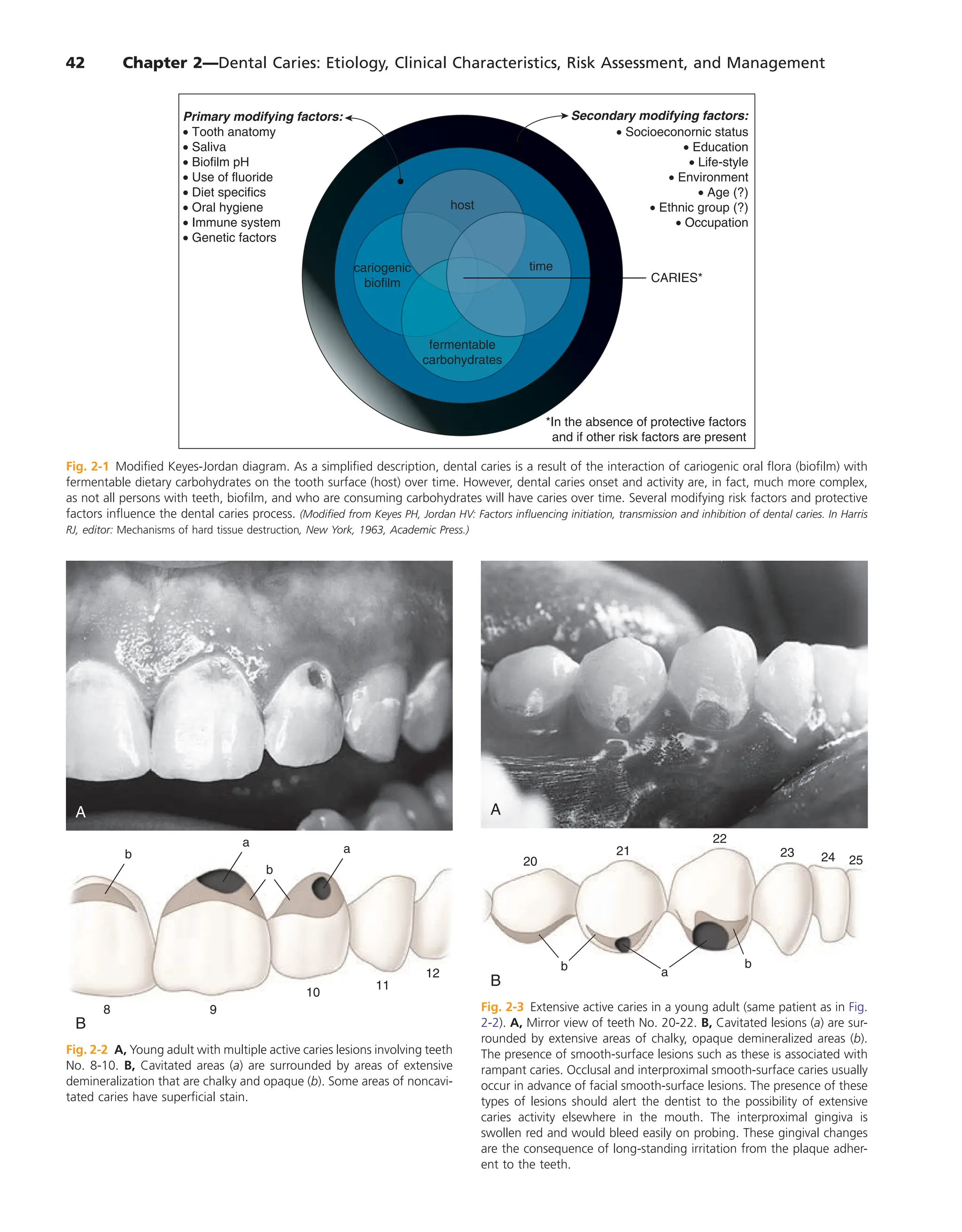 Sturdevant Art and Science of Operative Dentistry.pdf