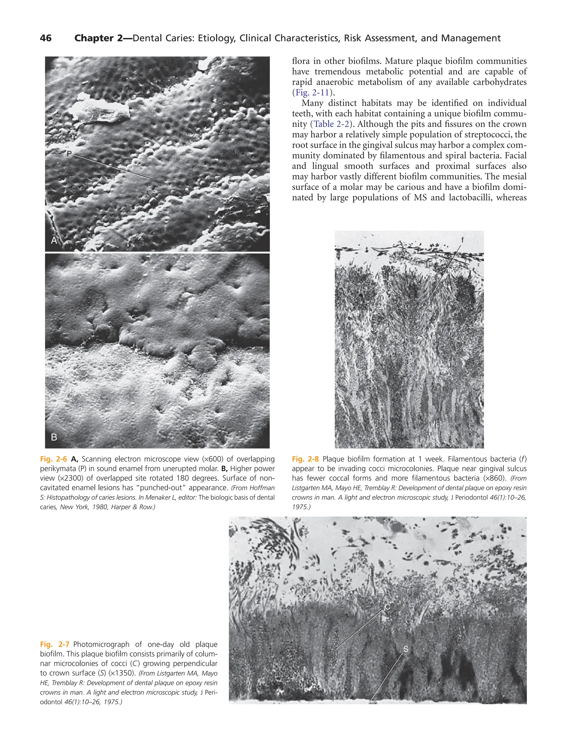 Sturdevant Art and Science of Operative Dentistry.pdf