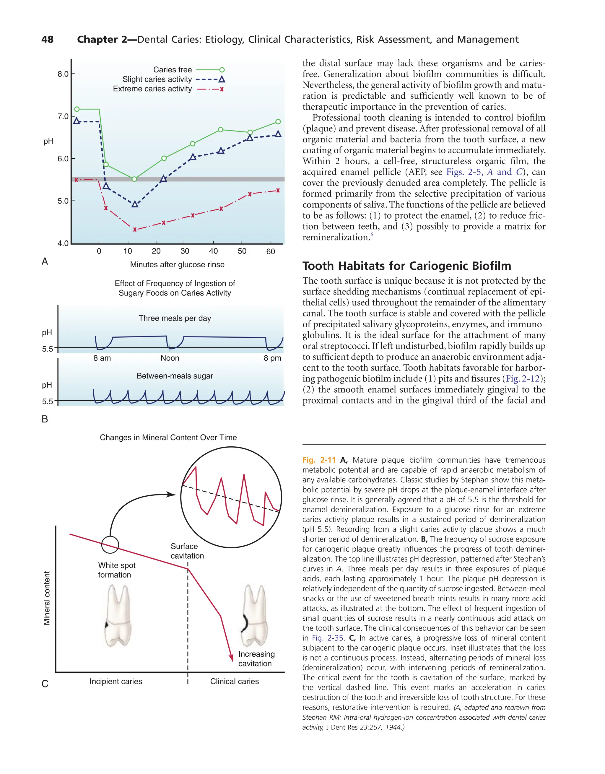 Sturdevant Art and Science of Operative Dentistry.pdf