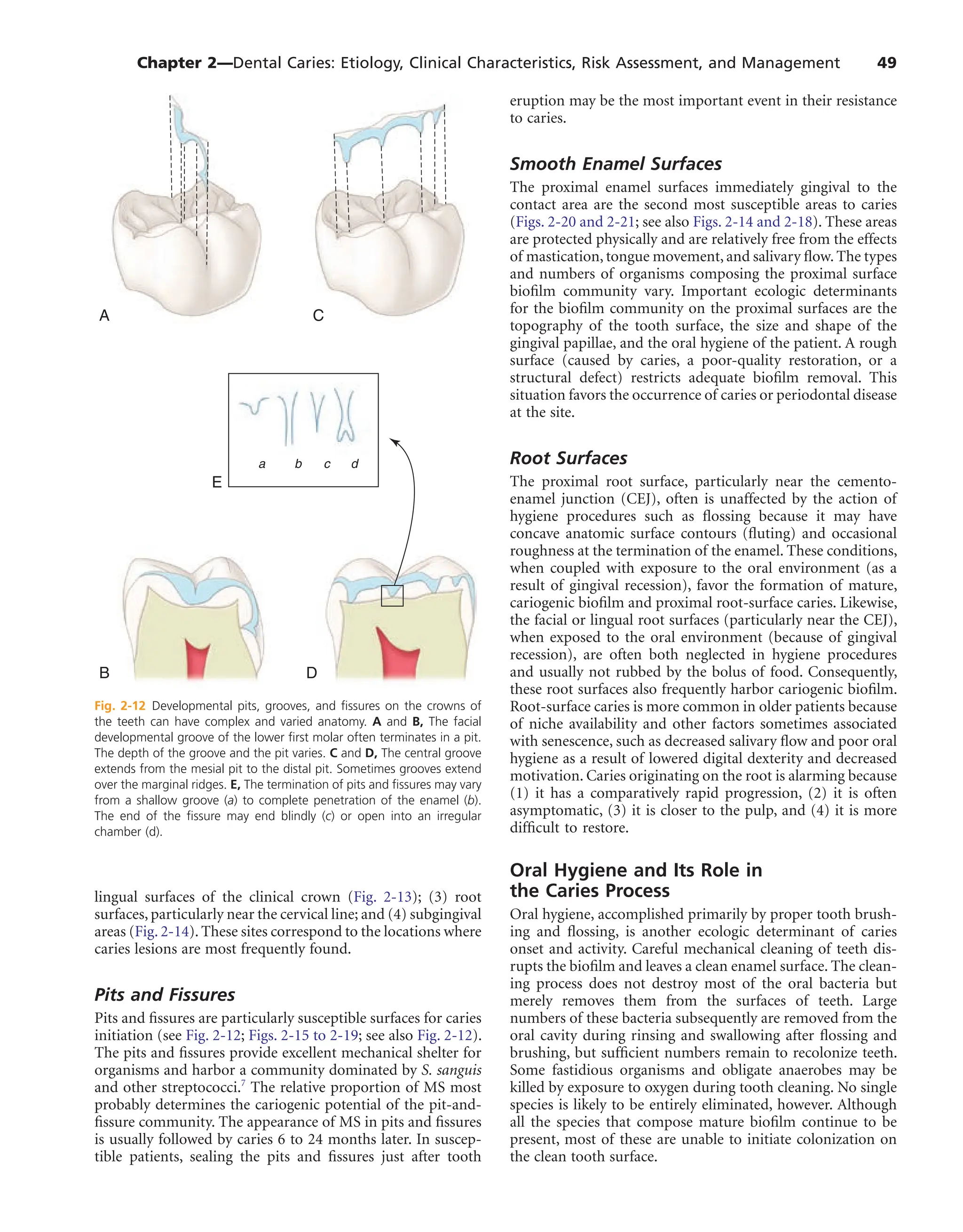 Sturdevant Art and Science of Operative Dentistry.pdf