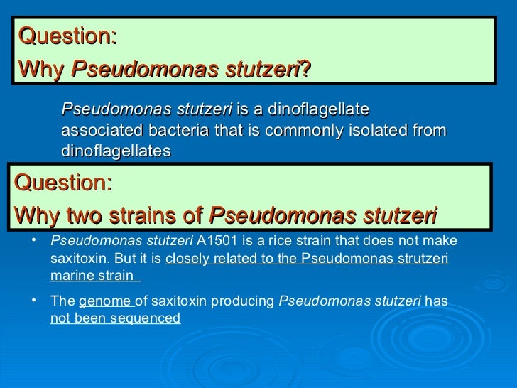 Transfer of Potential pseudomonas stutzeri genes