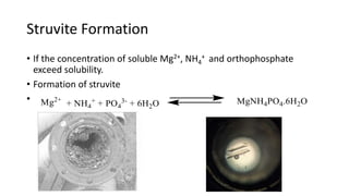 stuvite formation (1).pptx-lechate treatde onet | PPT