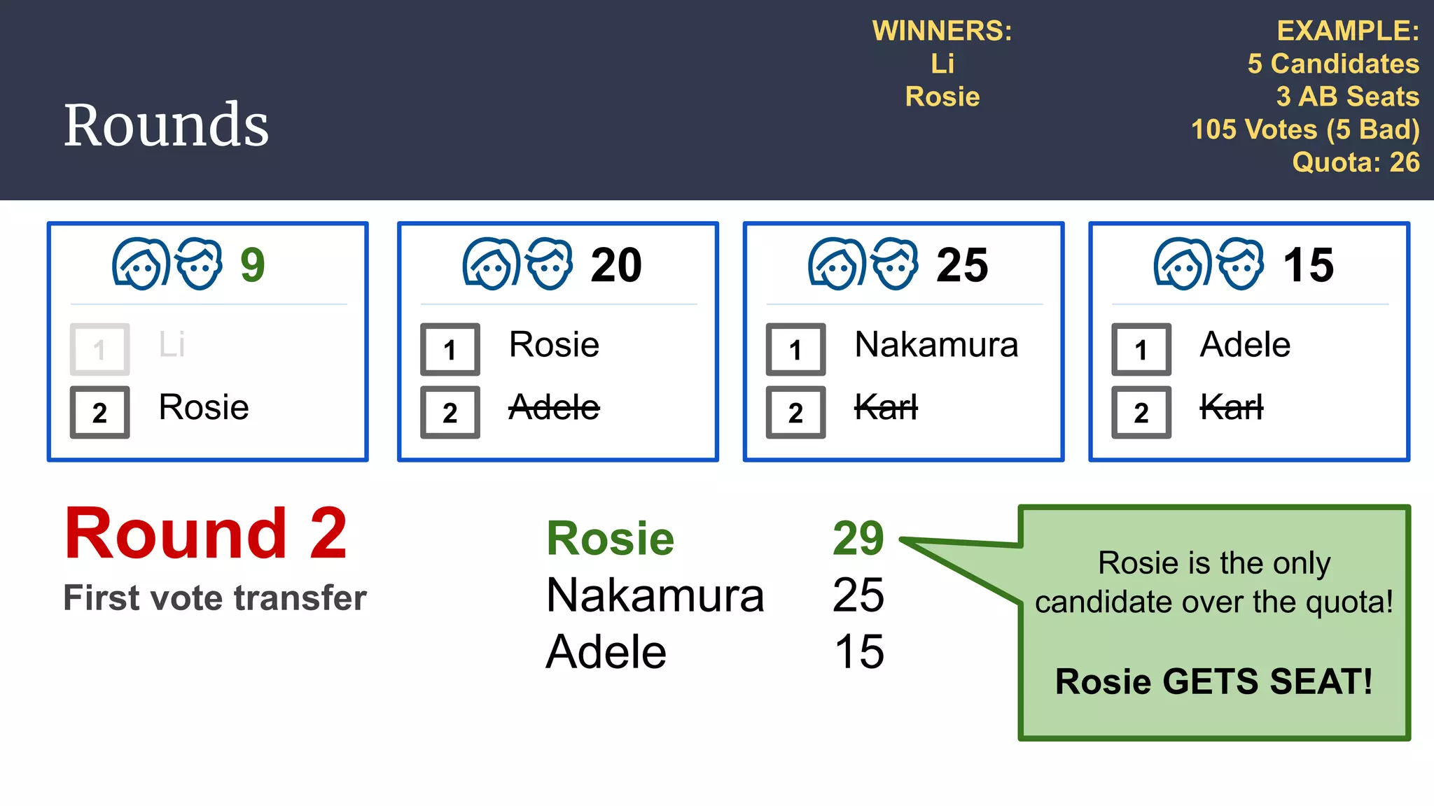 STV Voting System Explained | PDF