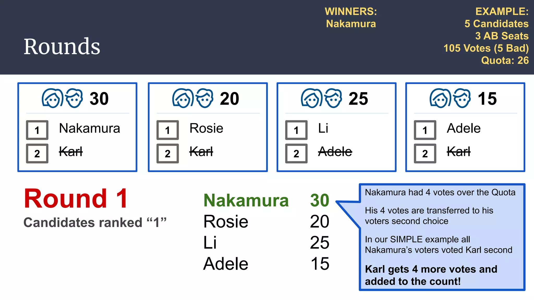 STV Voting System Explained | PDF