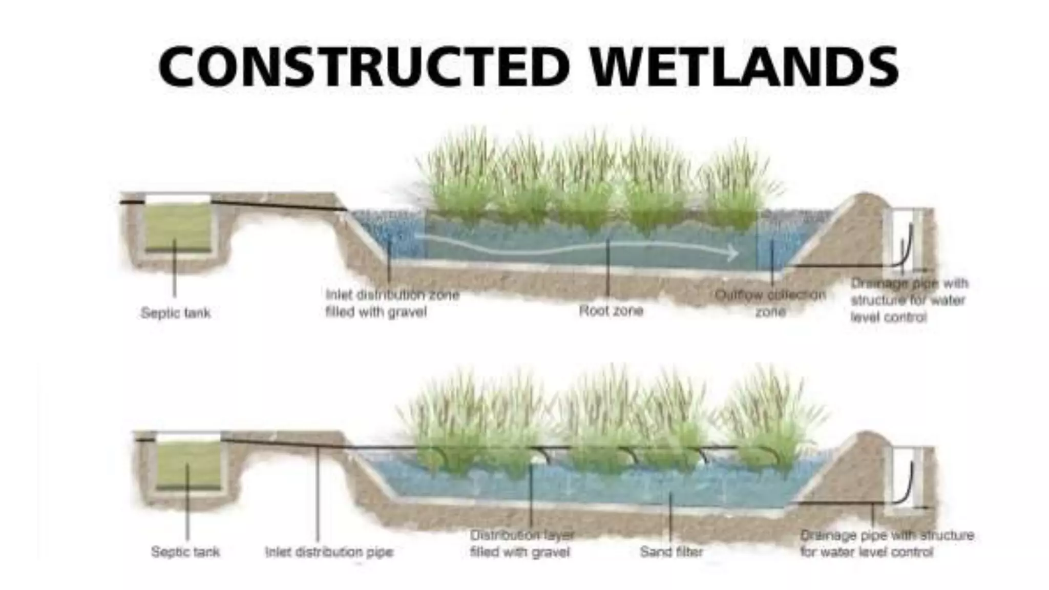 Septic Tank & Constructed Wetland | PPT