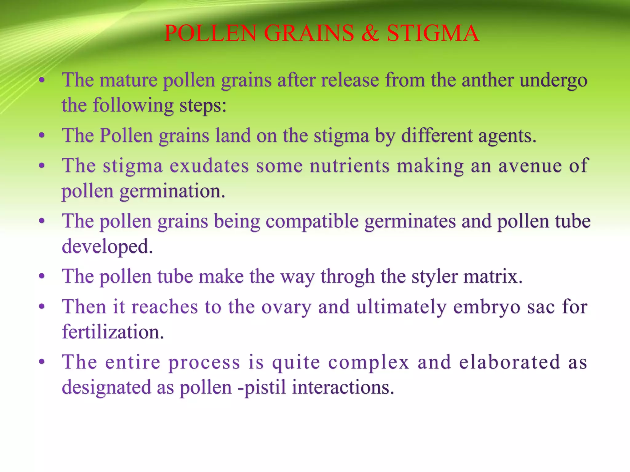 Style and stigma-Structure & diversity | PDF