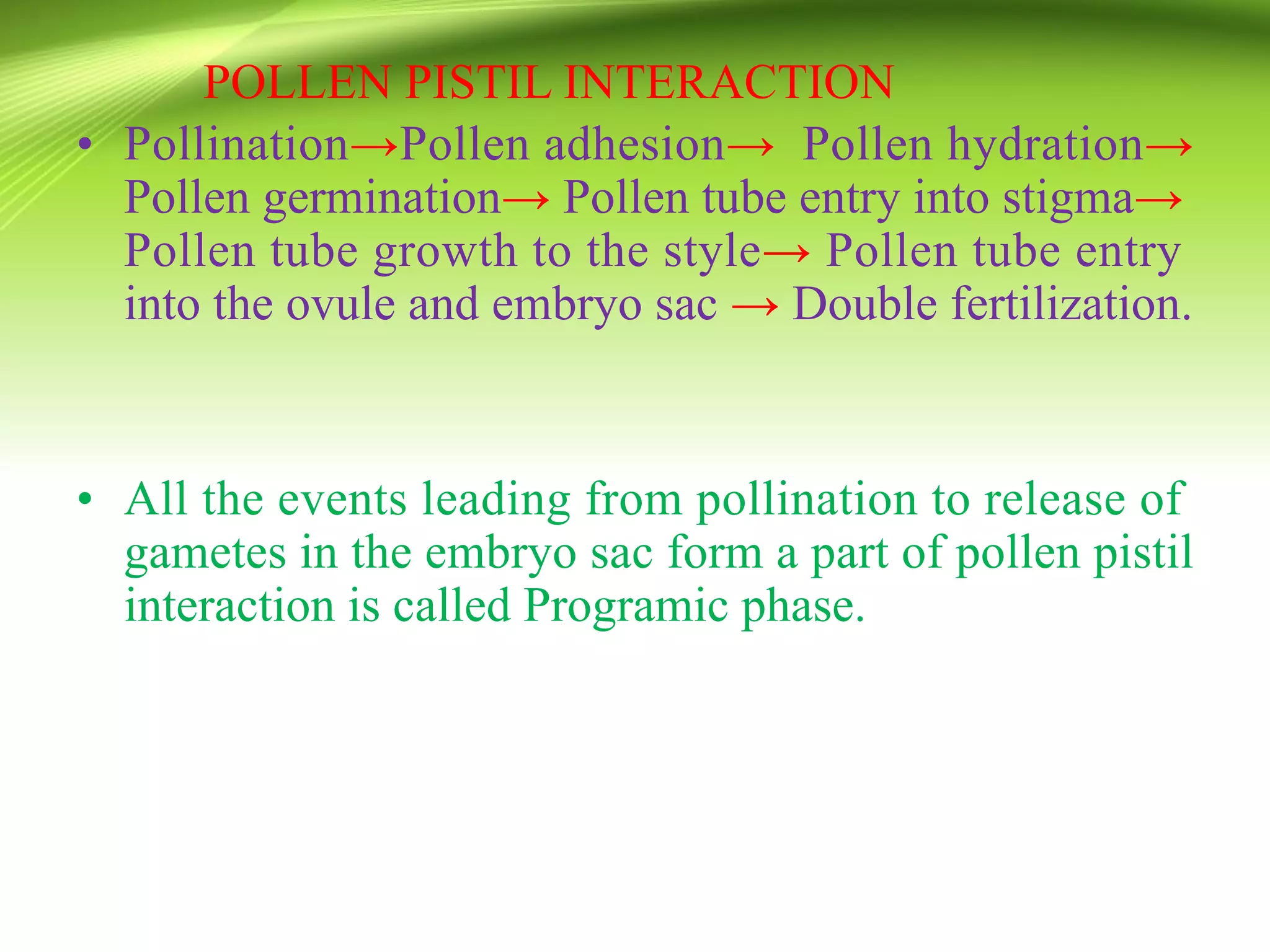 Style and stigma-Structure & diversity | PDF