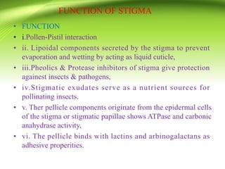 Style and stigma-Structure & diversity | PDF