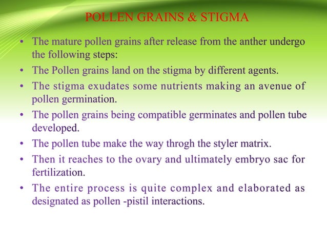 Style and stigma-Structure & diversity | PDF