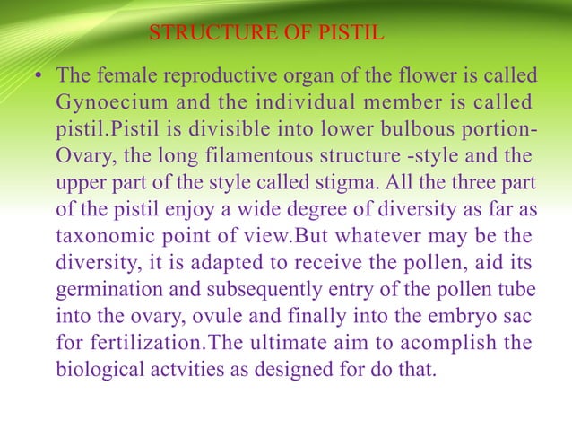 Style and stigma-Structure & diversity | PDF