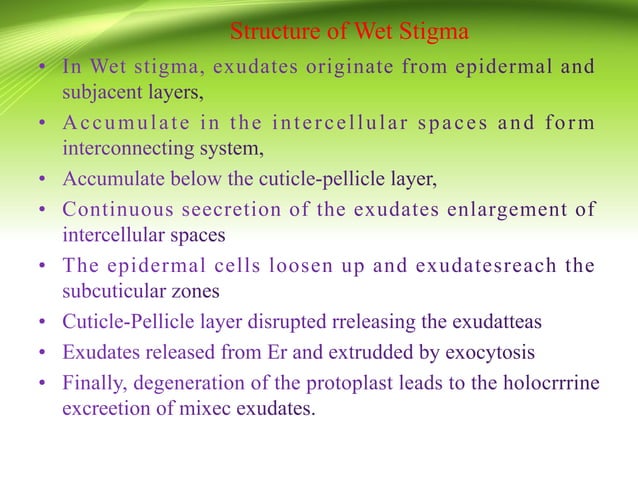 Style and stigma-Structure & diversity | PDF