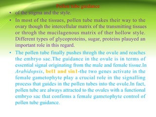 Slide Style And Stigma