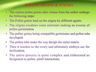 Slide Style And Stigma