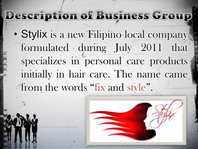 Stylix Marketing Plan | PPT