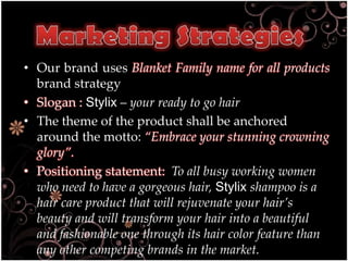 Stylix Marketing Plan | PPT