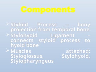Styloid_Apparatus presentation anatomy . | PPTX