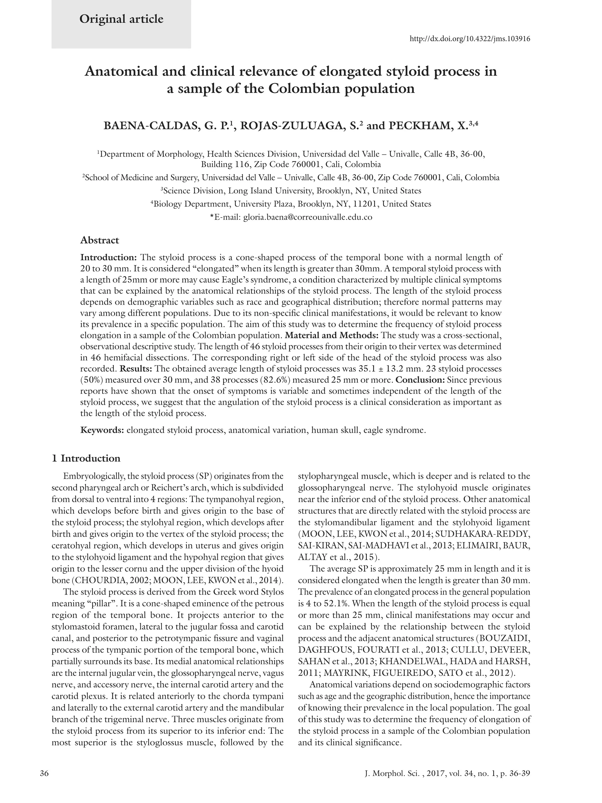 Styloid process | PDF