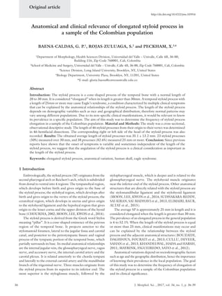 Styloid process | PDF