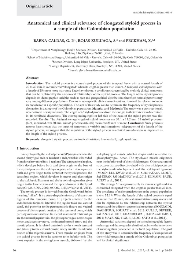 Styloid process | PDF | Bone and Joint Conditions | Diseases and Conditions
