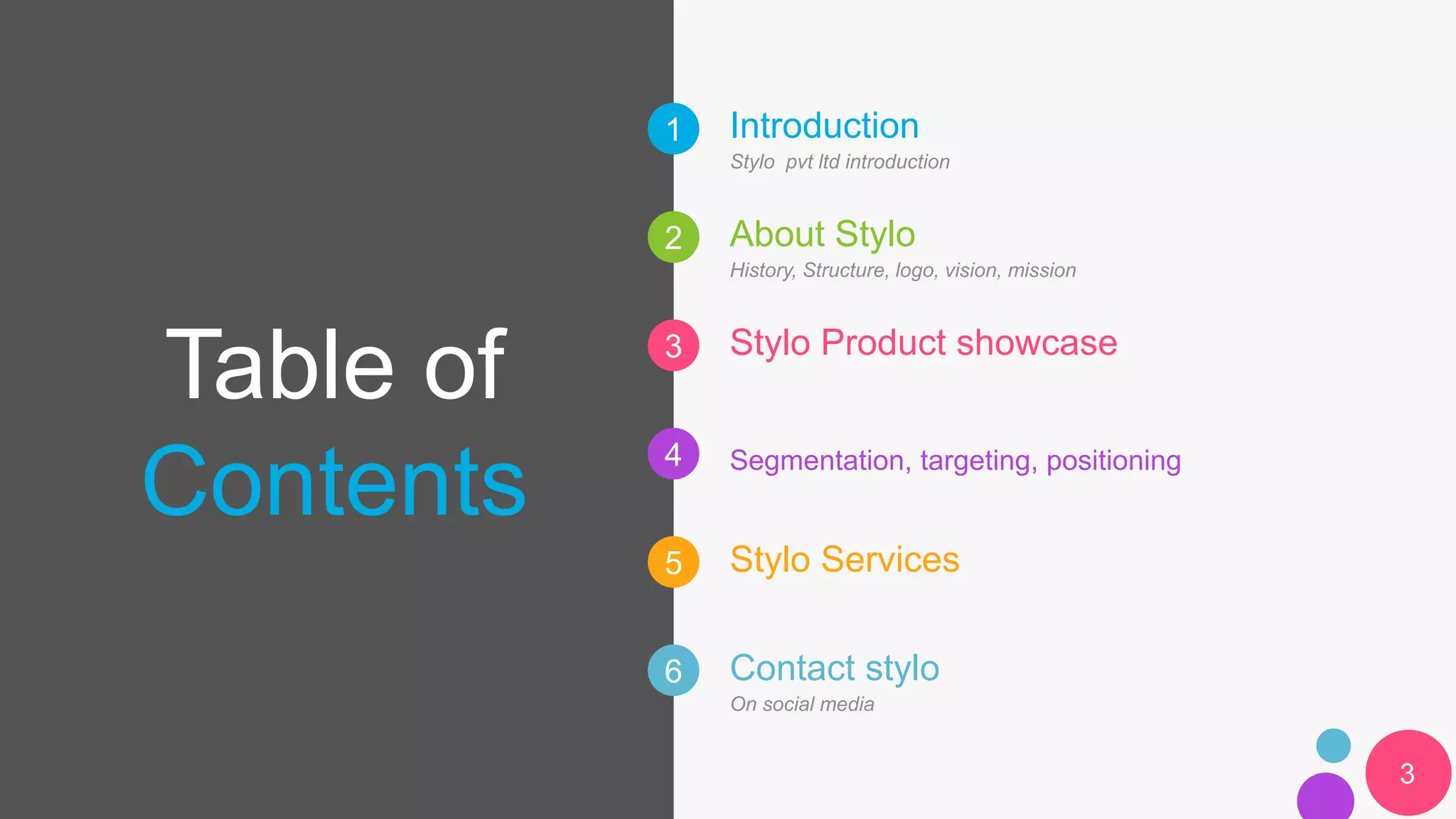 Stylo shoes segmentation, targeting, positioning | PPTX