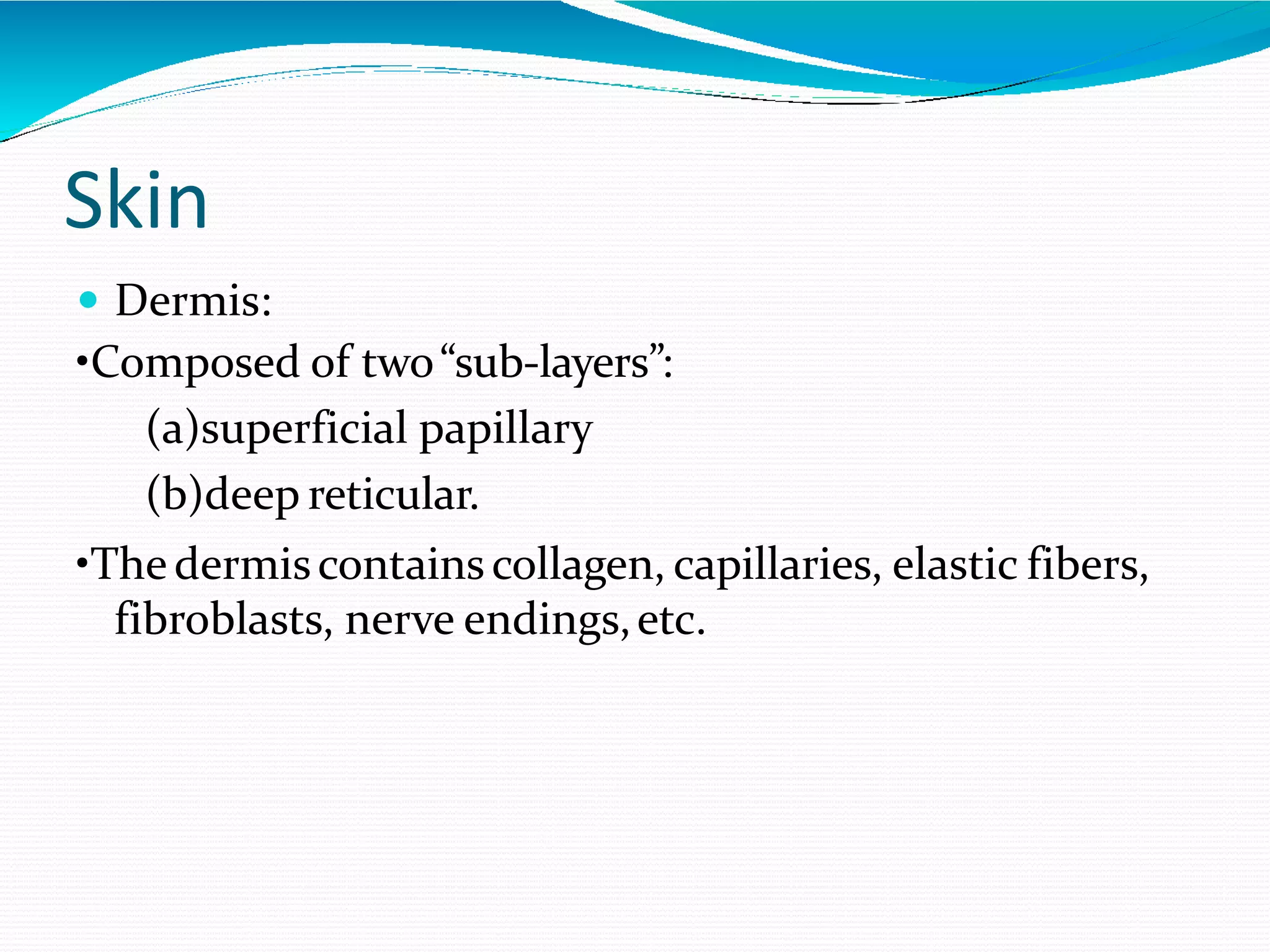 Skin_Graft_.pptx